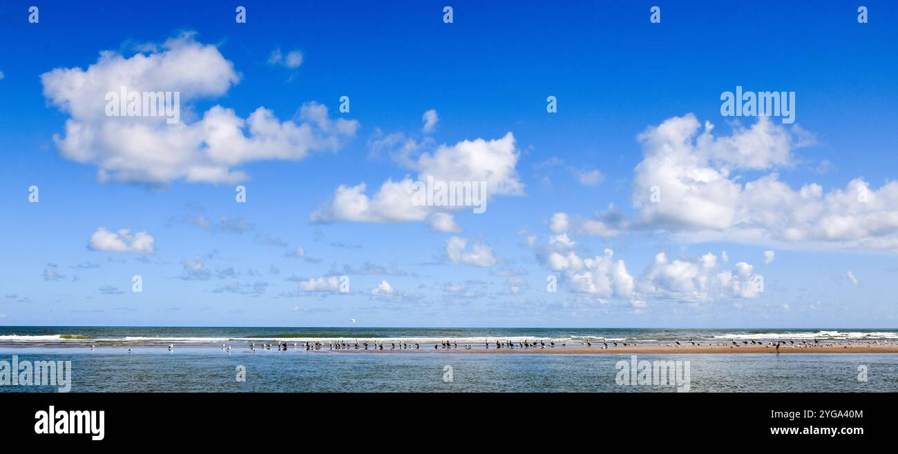 Boca Chica Beach in Texas Stock Photo - Alamy