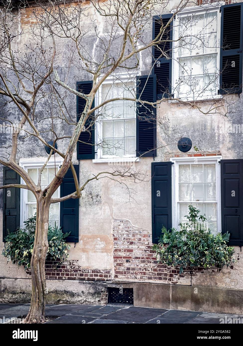 Windows in Charleston, South Carolina, USA Stock Photo - Alamy