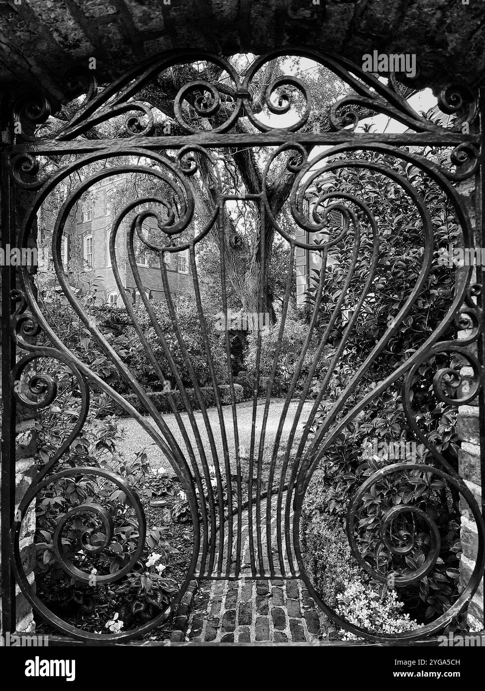 Charleston Garden Gate, Charleston, South Carolina, USA Stock Photo - Alamy