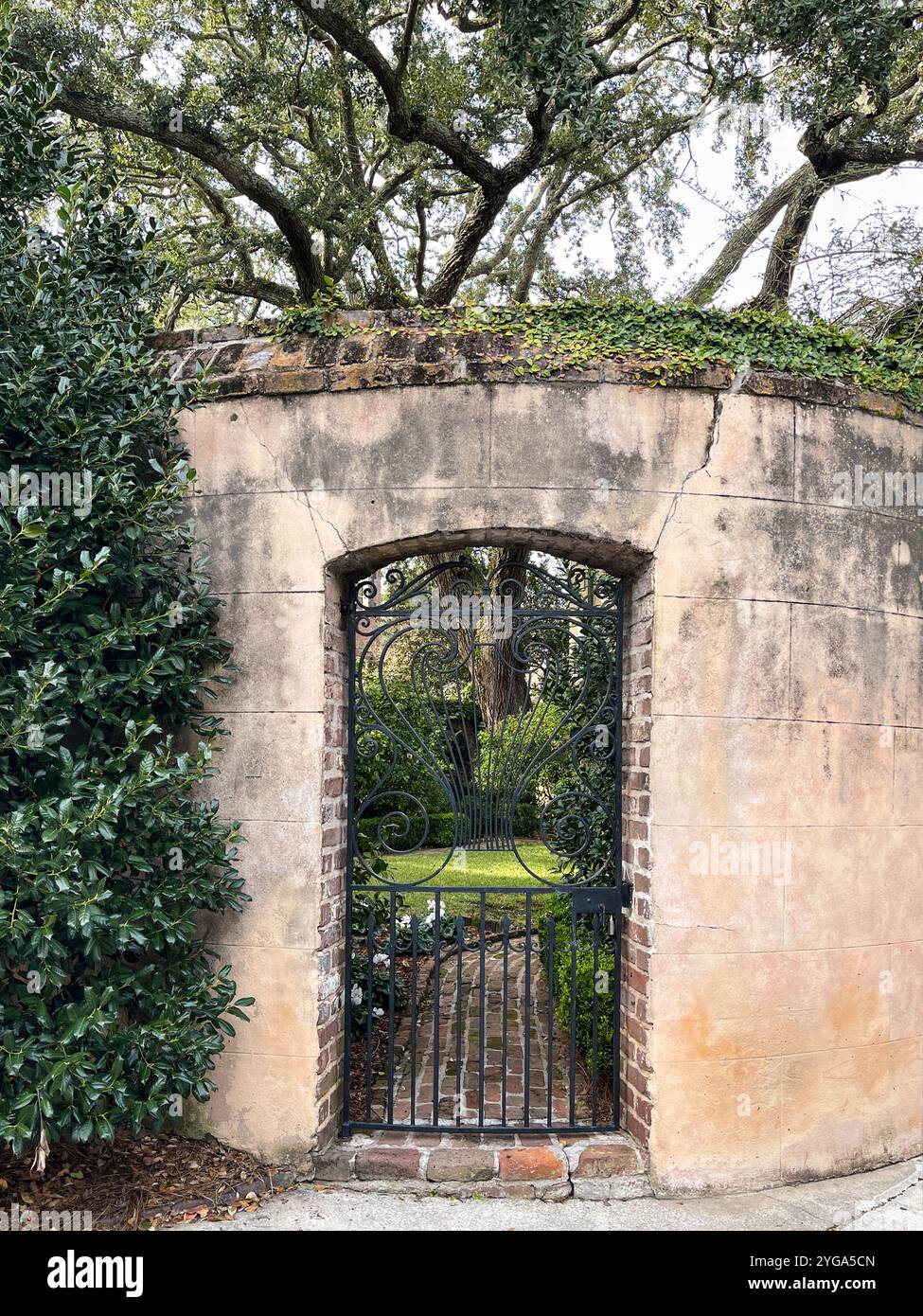 Charleston Garden Gate, Charleston, South Carolina, USA Stock Photo - Alamy