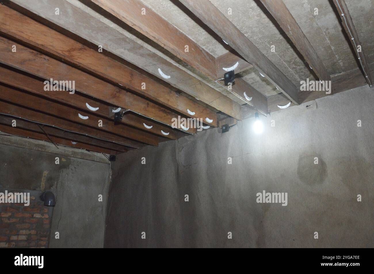 design inside the swallow nest breeding building Stock Photo - Alamy