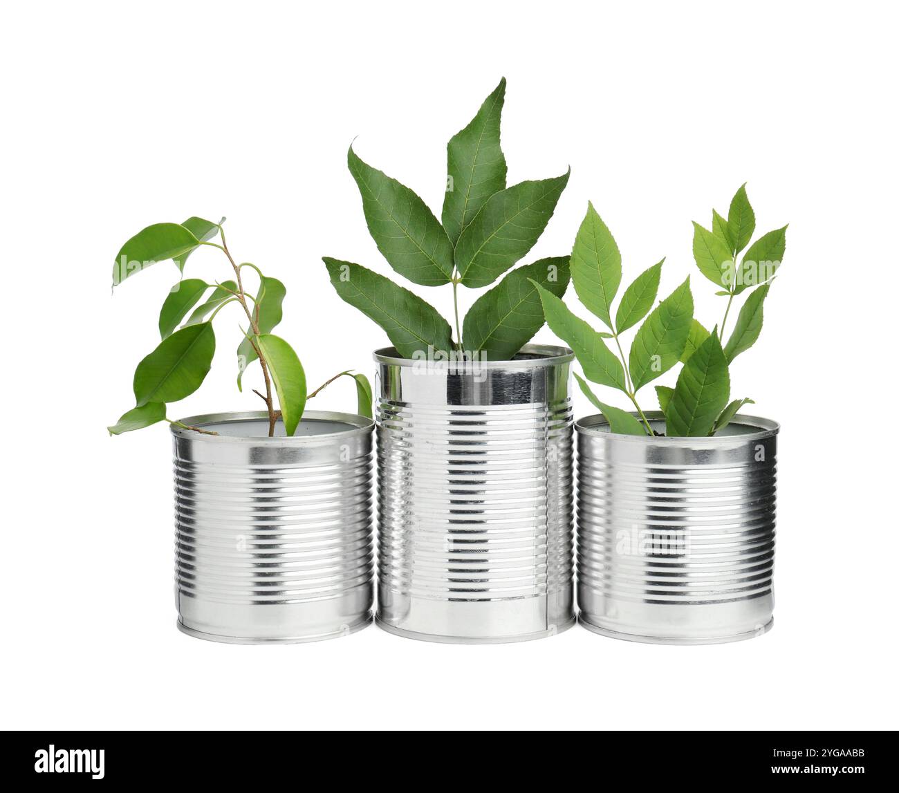 Recycling green trash cans Cut Out Stock Images & Pictures - Alamy