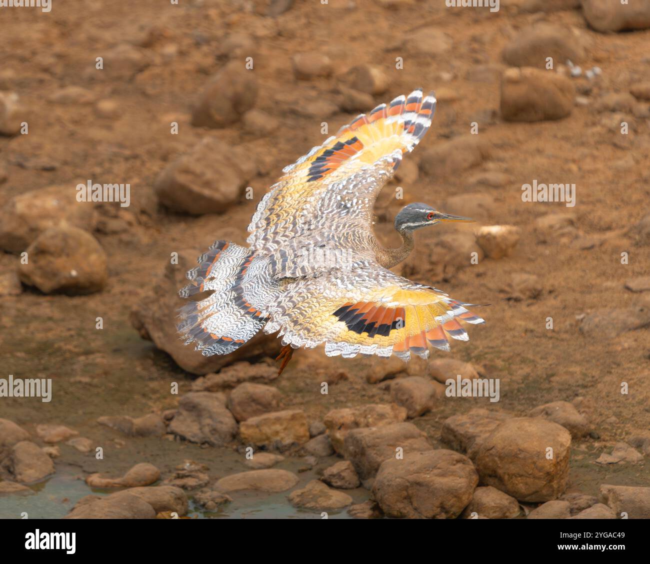 Flying low to ground hi-res stock photography and images - Alamy