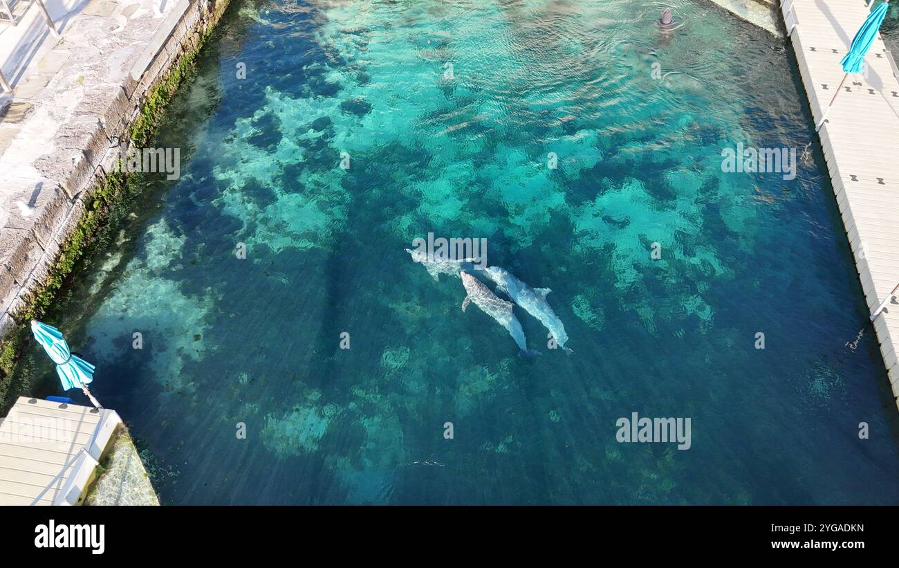 Overhead aerial shots of the historic antique fort with dolphins, now ...