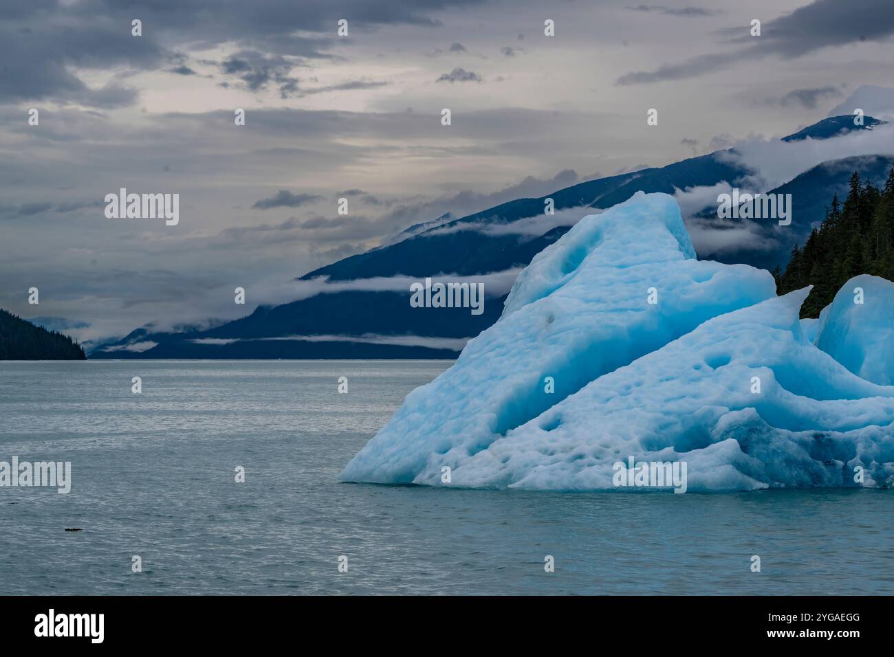 Iceberg floats down Endicott Arm from Dawes Glacier Stock Photo - Alamy