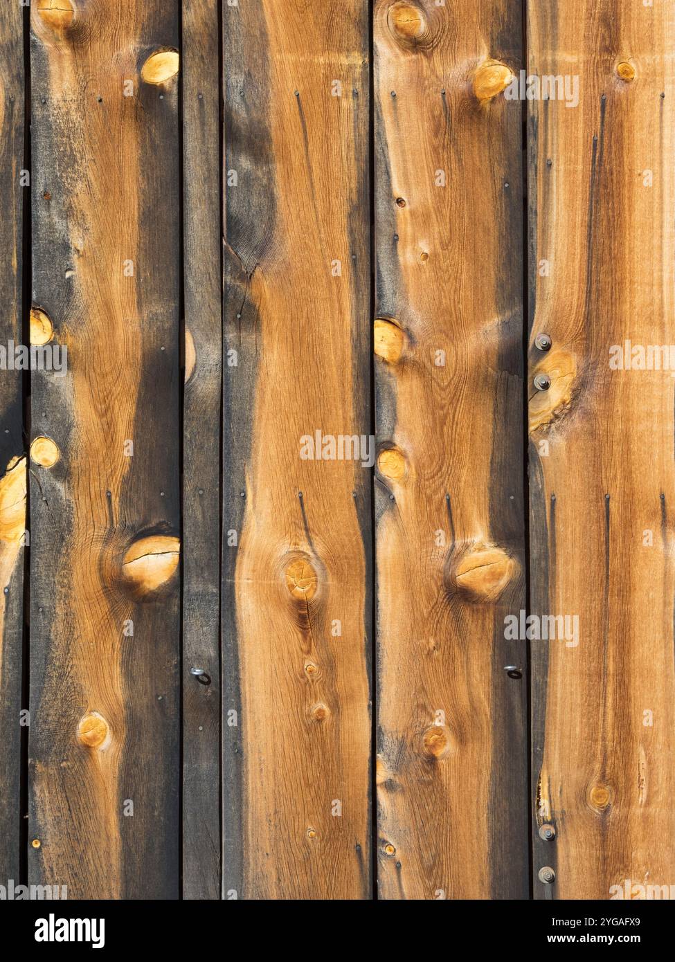 Arizona, Jordan Historical Park. Sedona Heritage Museum, close-up of ...
