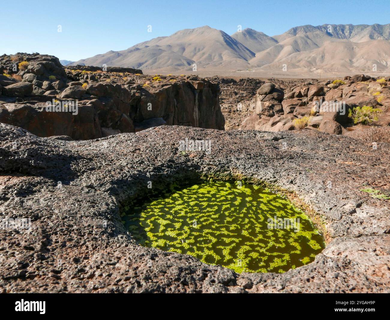 Small pool of water with algae in foreground of rocky (basalt ...