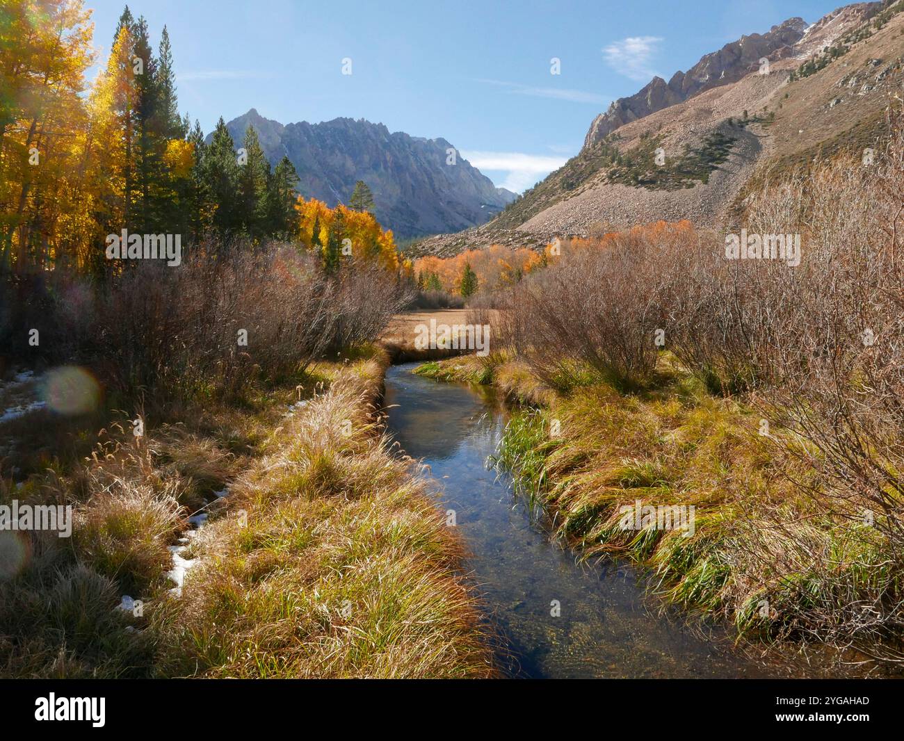 Fall, Eastern Sierras, Bishop, California Stock Photo - Alamy