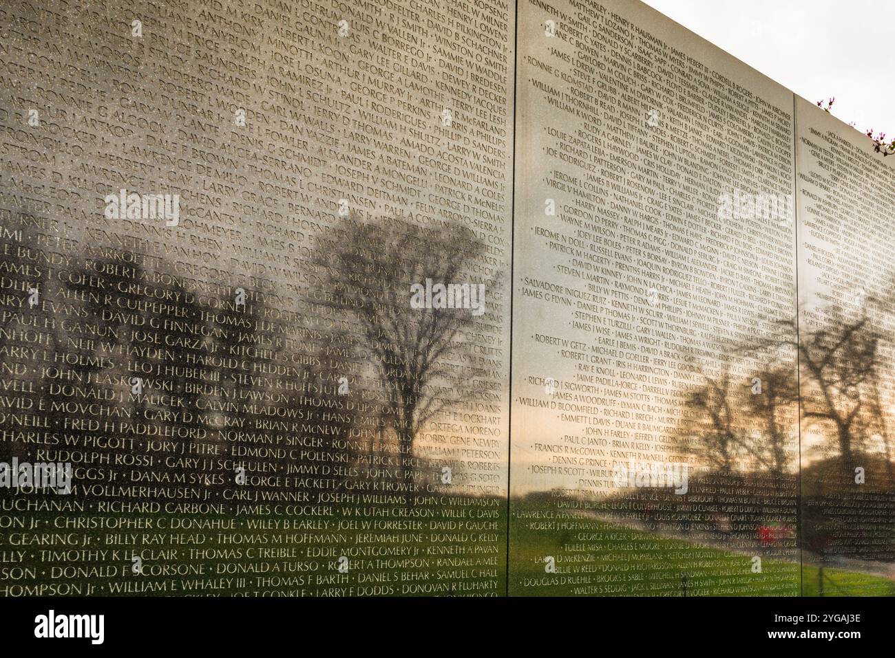 Detail of names on the Vietnam Veterans Memorial, Washington, D.C, USA ...
