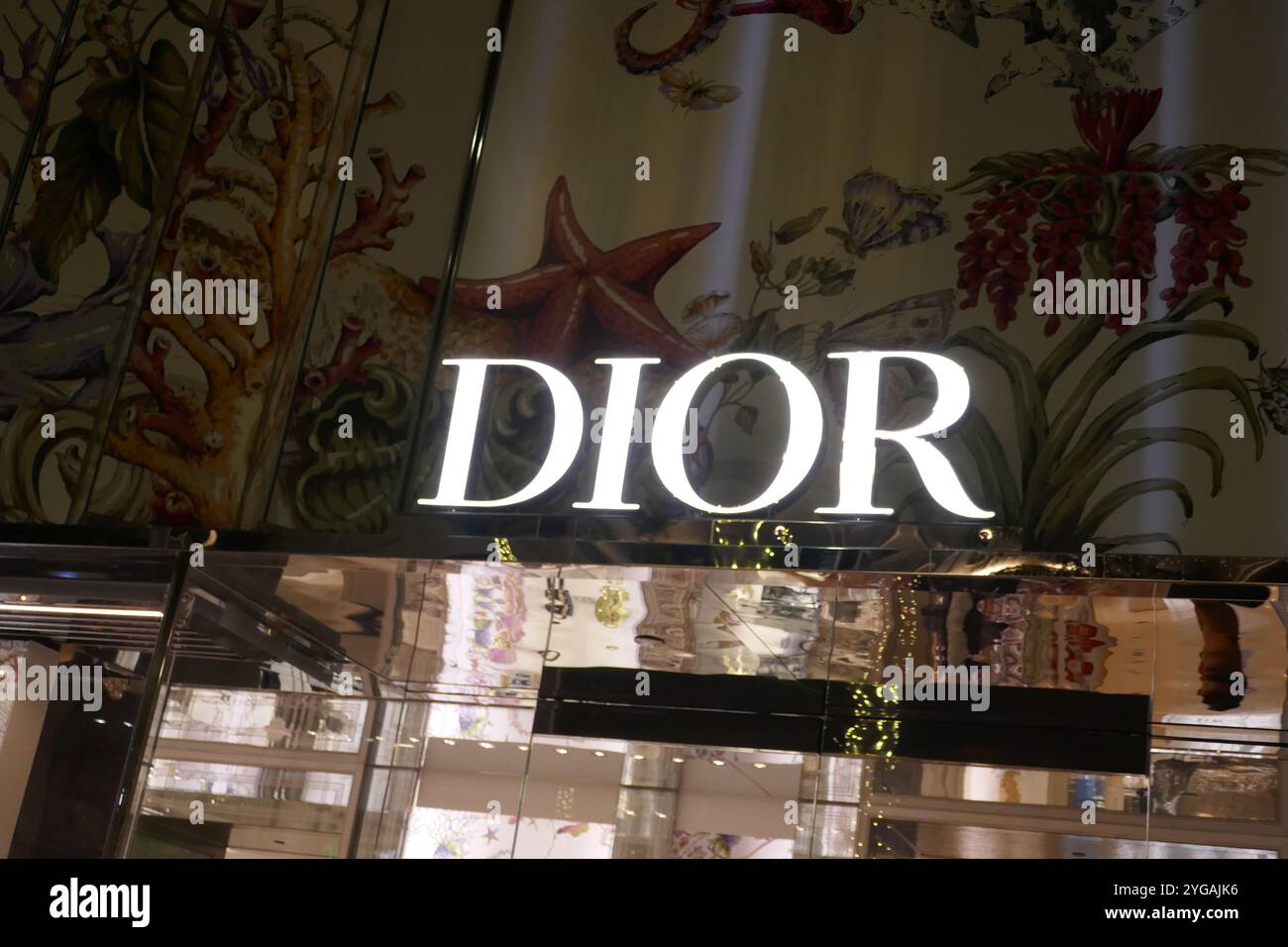 Beverly Hills, California, USA 5th November 2024 Dior on Rodeo Drive on ...