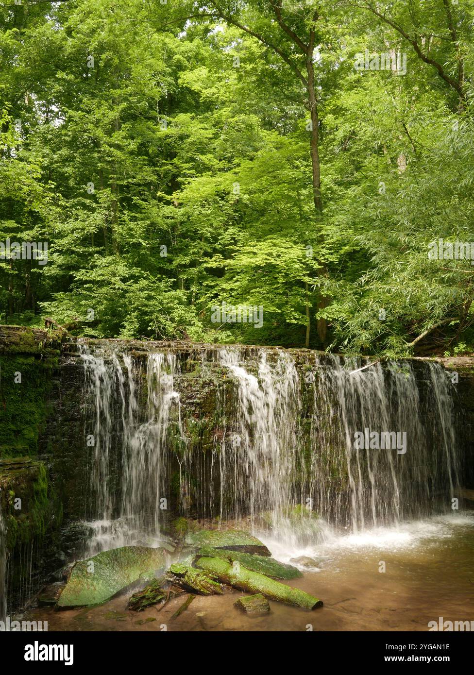 Hidden Falls, Prairie Creek, Nerstrand-Big Woods State Park, Minnesota ...