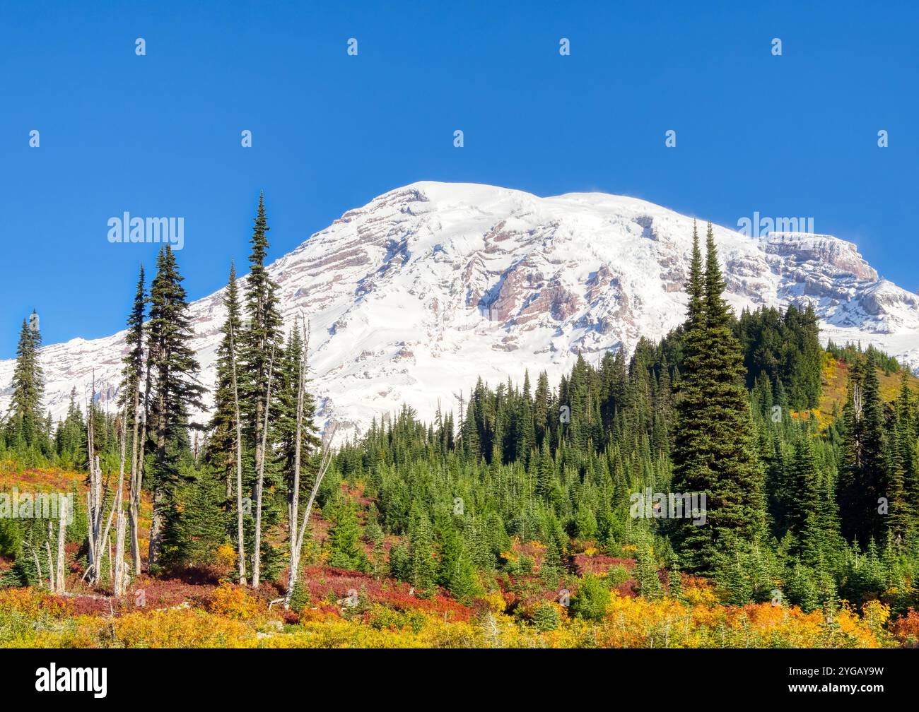 Washington State, Mount Rainier National Park. Mount Rainier with ...