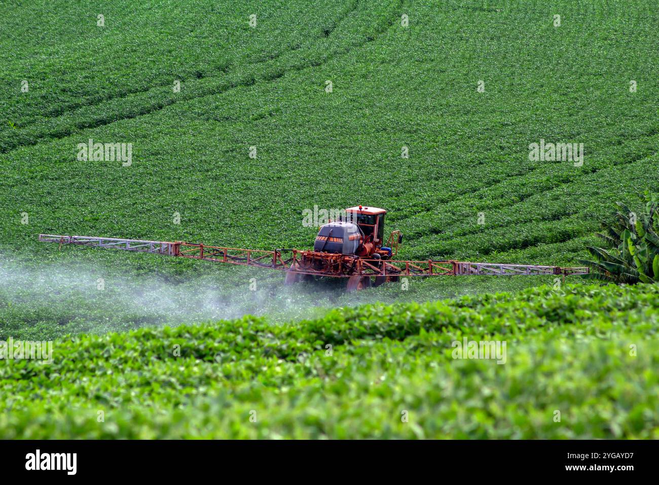 Spraying herbicide on soybean field hi-res stock photography and images ...