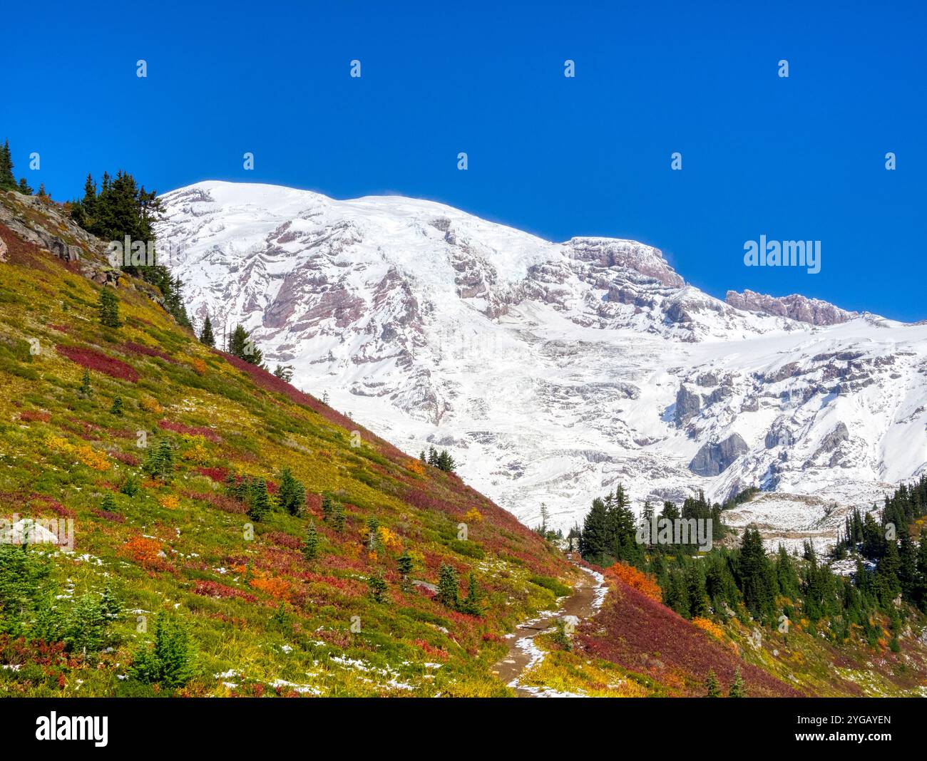 Washington State, Mount Rainier National Park. View of Mount Rainier ...