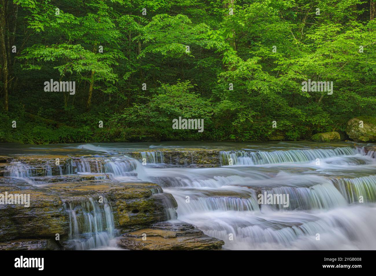 USA, West Virginia, New River Gorge National Park. Creek and waterfall ...