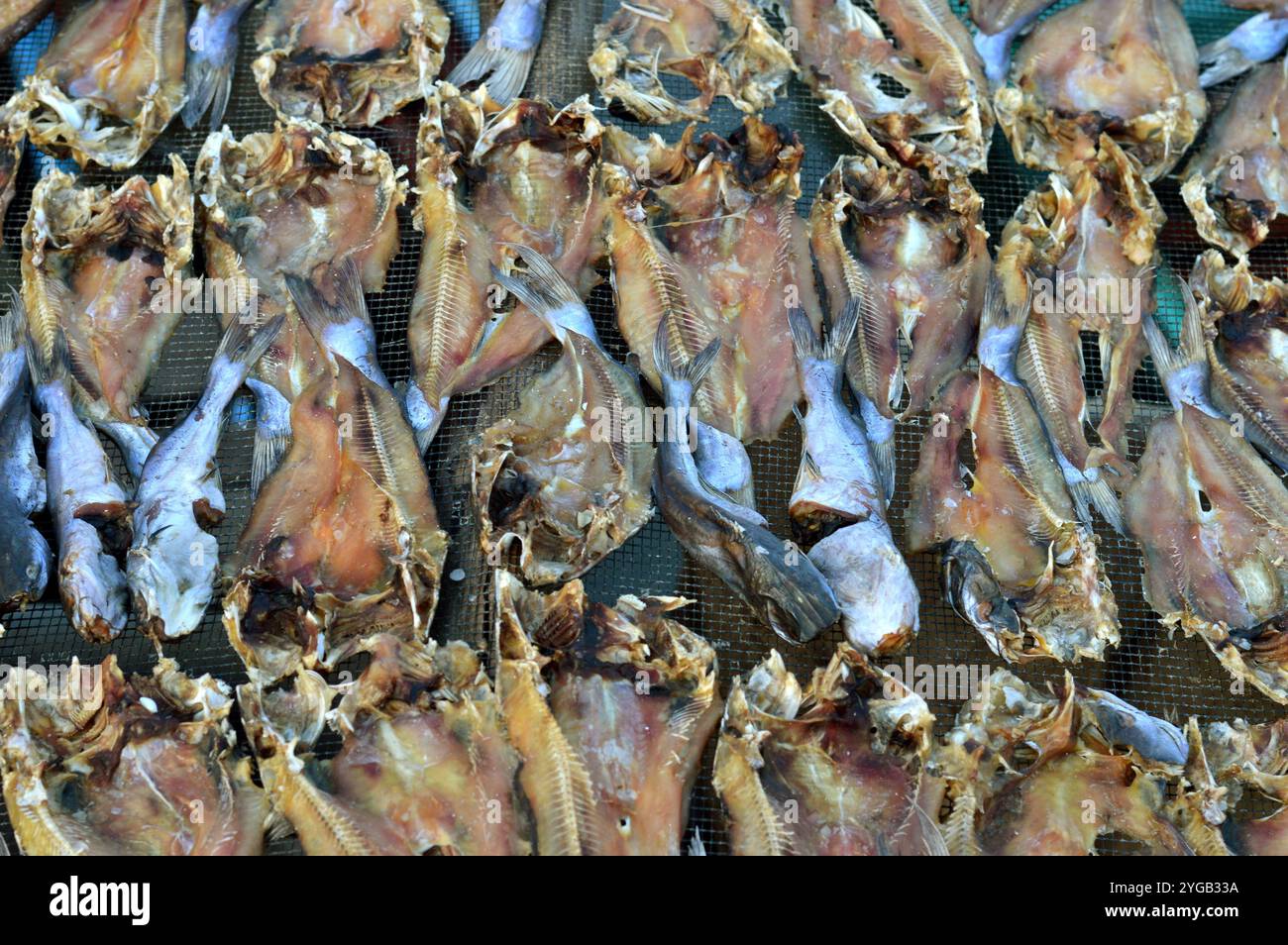 patterns of dried salted fish being dried in the sun Stock Photo - Alamy