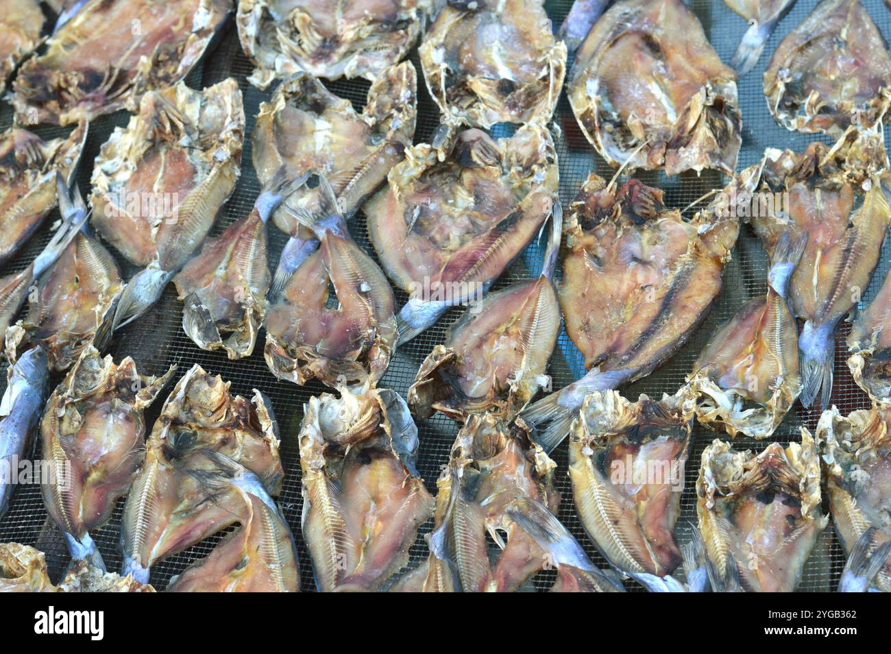 patterns of dried salted fish being dried in the sun Stock Photo - Alamy