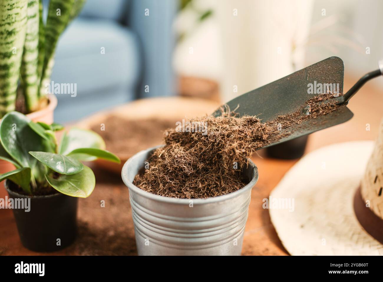 Coco peat for gardening. Coco peat is growing medium made out of ...