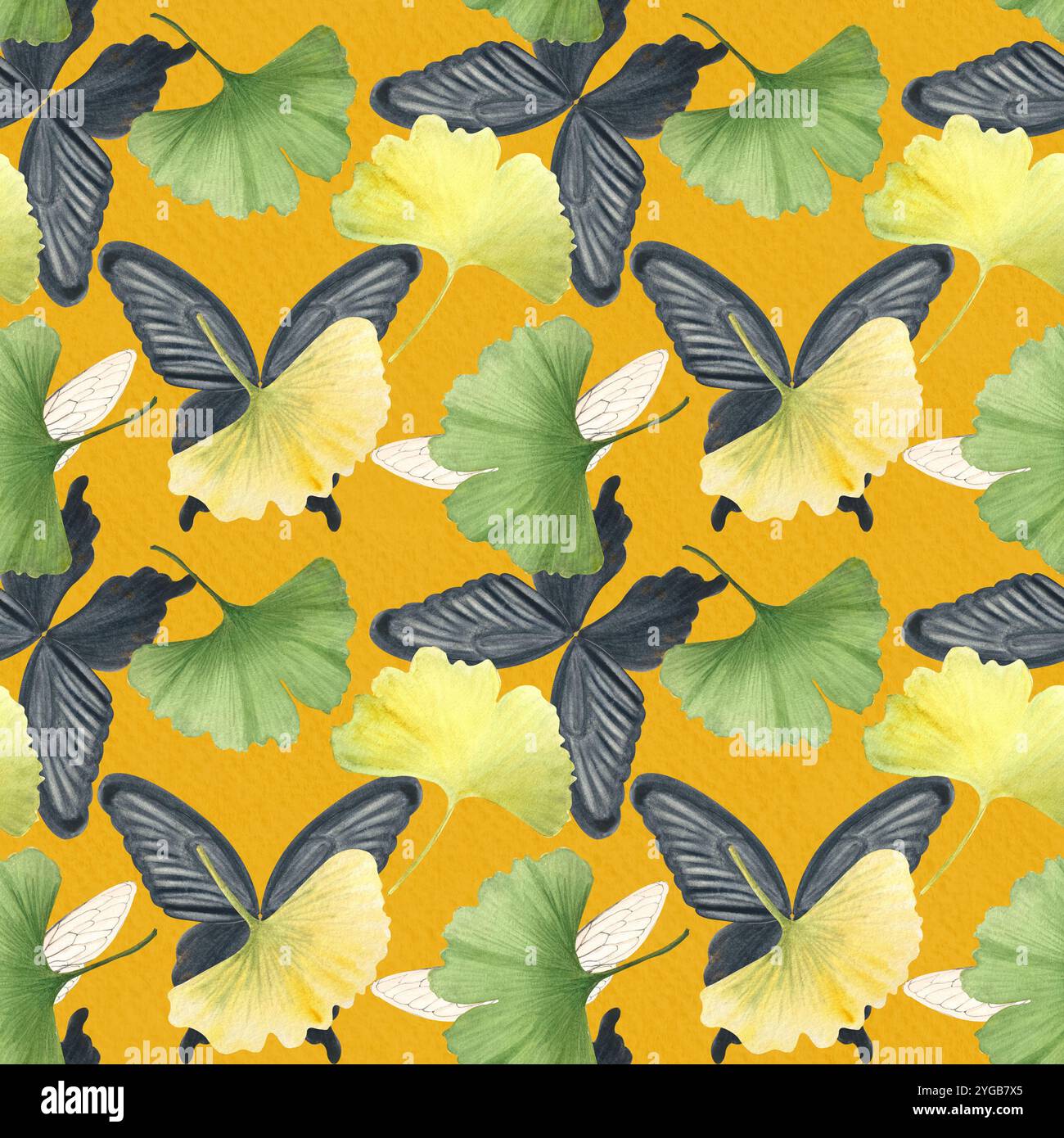 Ginkgo leaves, black Swallowtail butterfly, creamy insect wings ...