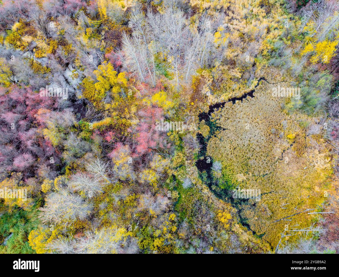Aerial view of fall colors in the North Cascade Range, Washington State ...
