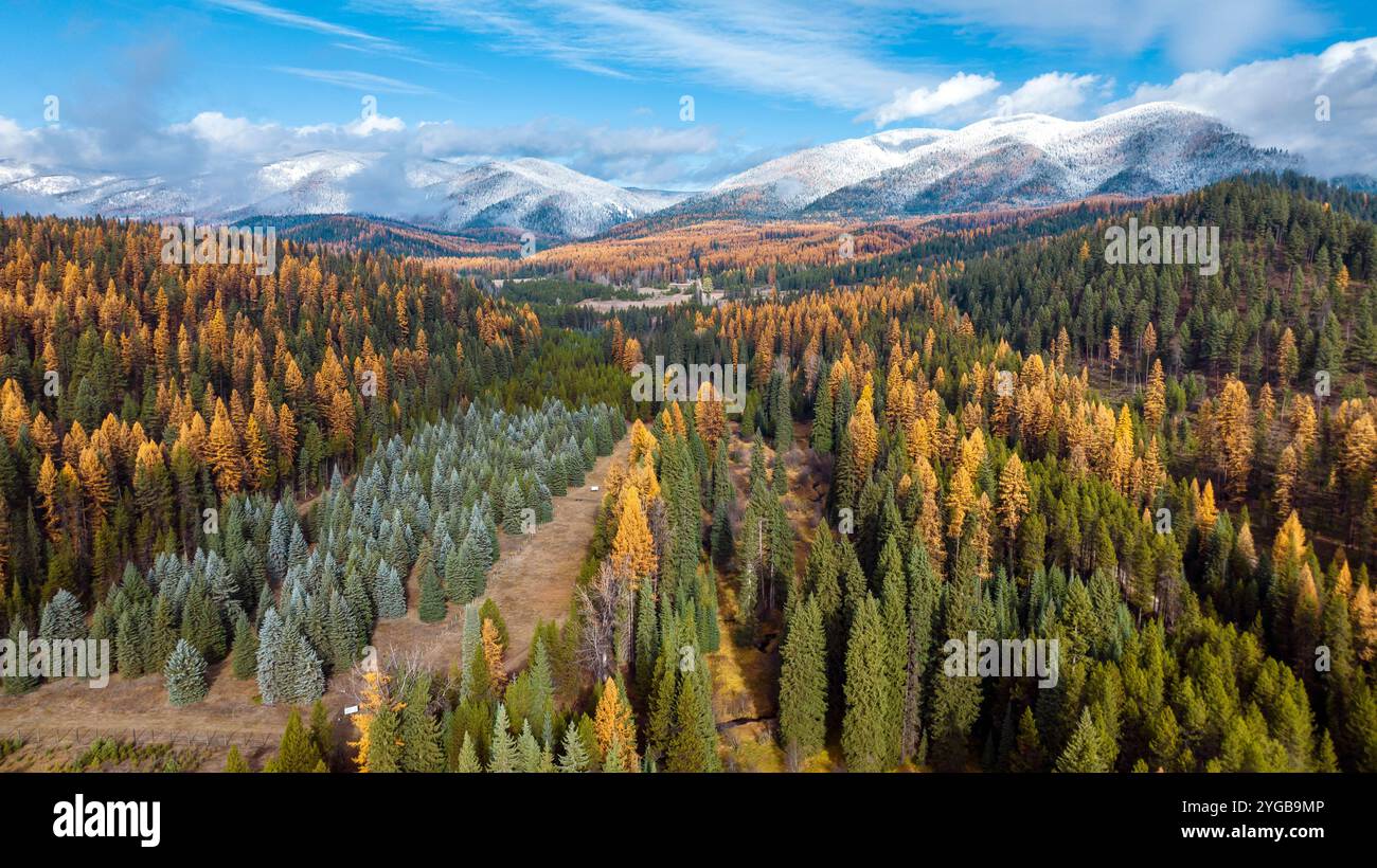 Aerial view of the U.S. Forest Service's historic Savenac Nursery ...