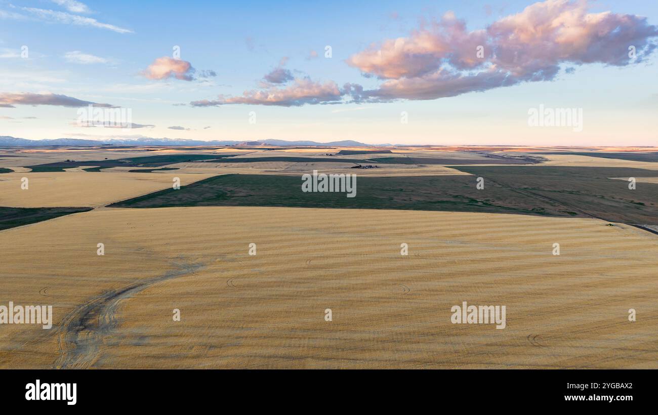 Aerial view of a wheat field after the harvest, central Washington, USA ...