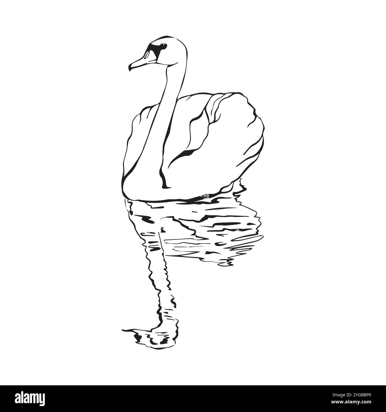 Swan bird on water surface in continuous line art drawing style. Black ...