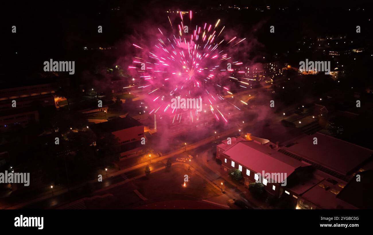 Vibrant fireworks light up the night sky, exploding in dazzling colors ...