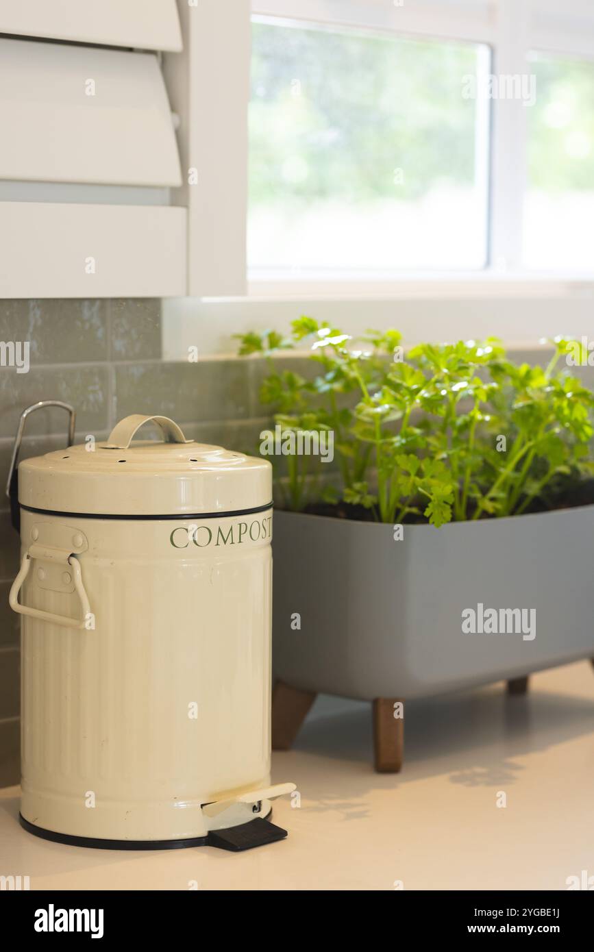 Compost bin and fresh herbs on kitchen counter in bright home setting ...