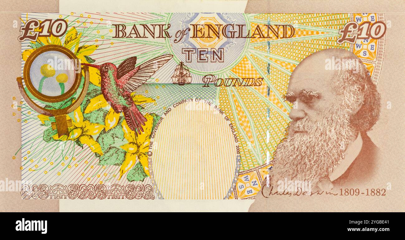 British £10 Banknote Back with Charles Darwin Portrait and Hummingbird ...