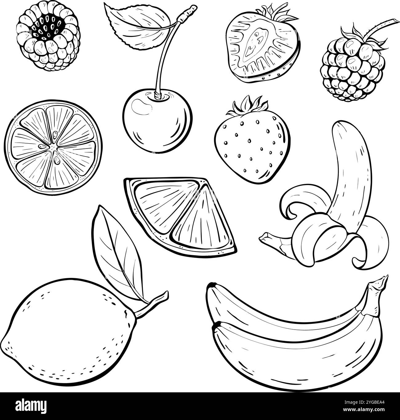 Unique HandDrawn Illustrations of Various Fruits. bananas, lemons ...