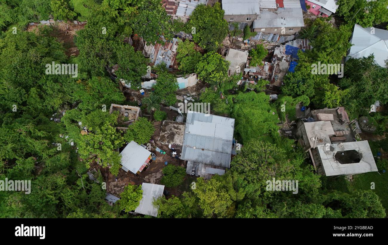 Aftermath of Hurricane Milton in the Heart of Florida Stock Photo - Alamy