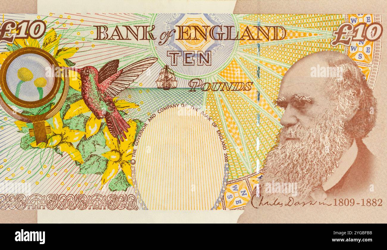 British £10 Banknote Back with Charles Darwin Portrait and Hummingbird ...