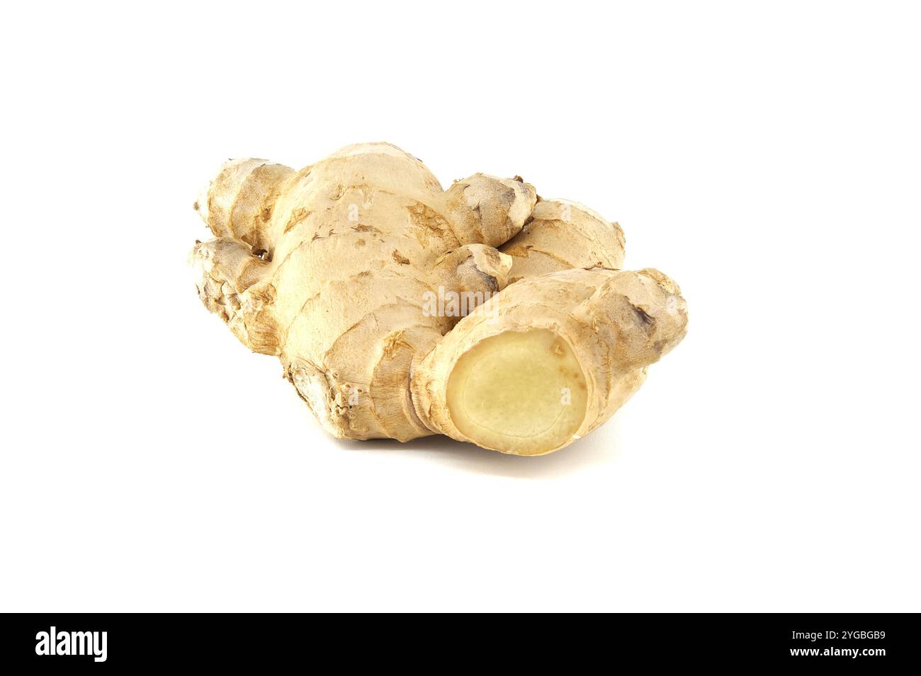 A fresh piece of ginger root on a white background, showcasing its ...