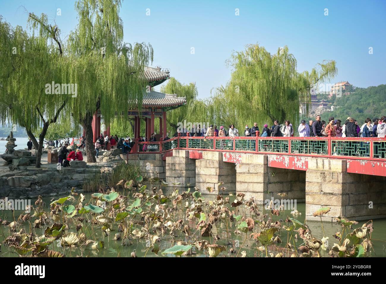 Beijing, China - Oct 21st, 2024: On the ground of the Imperial Summer ...