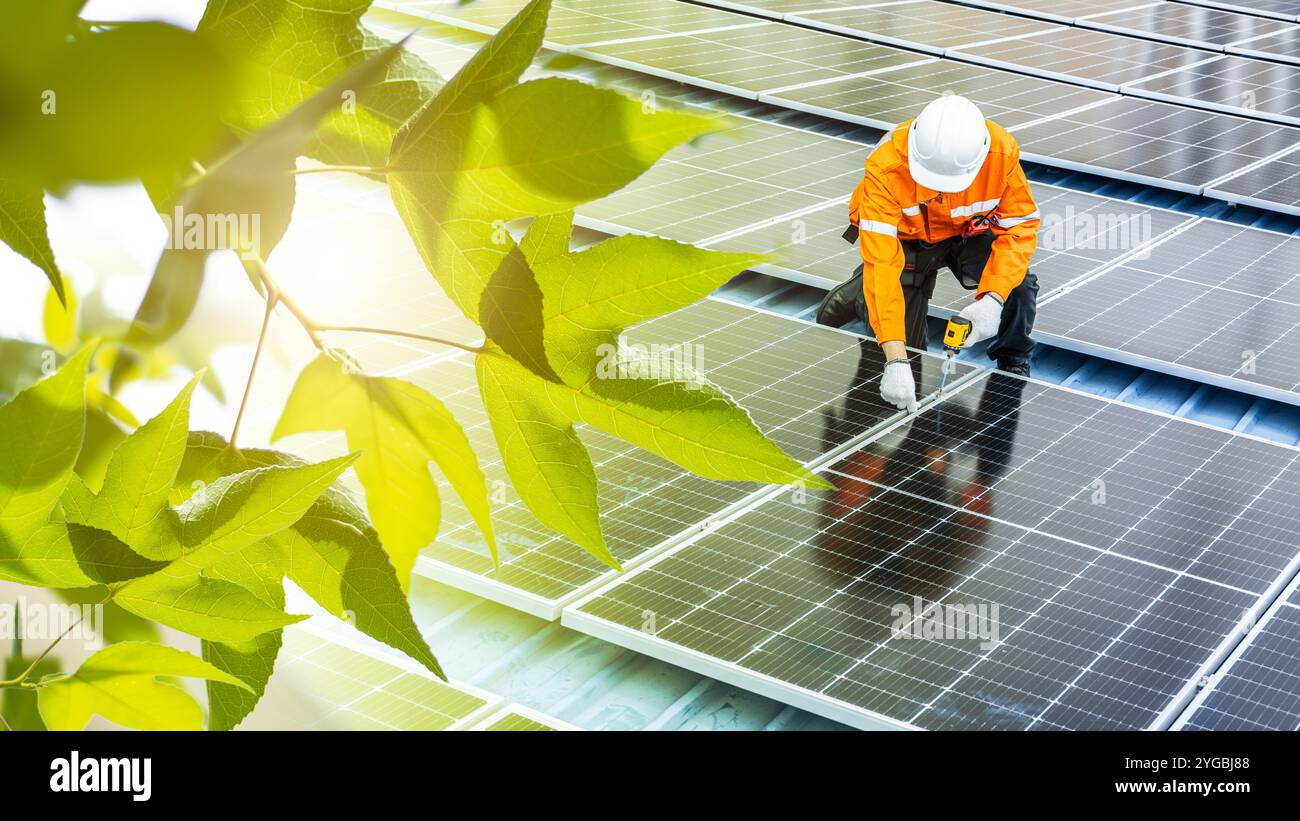 Professional Engineer Service Solar Panel with Green Leaves. Worker Install replacing Solar ...