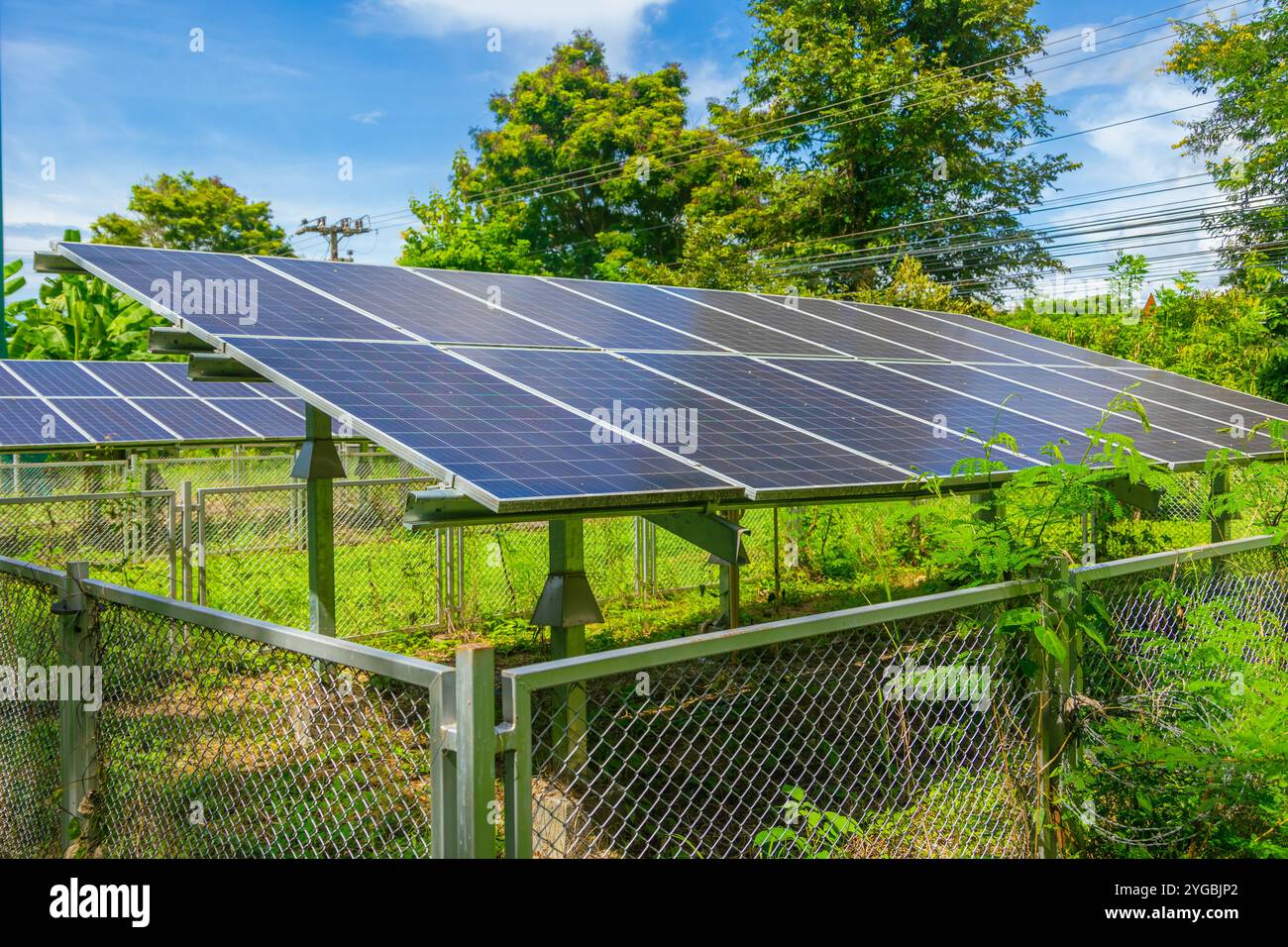 Small Solar farm, Solar panel with green ecology plant tree sunny blue ...