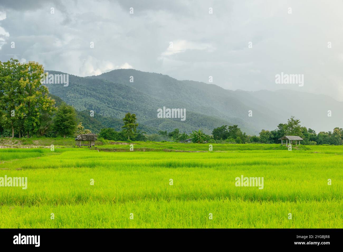 Agriculture and the environment hi-res stock photography and images - Alamy
