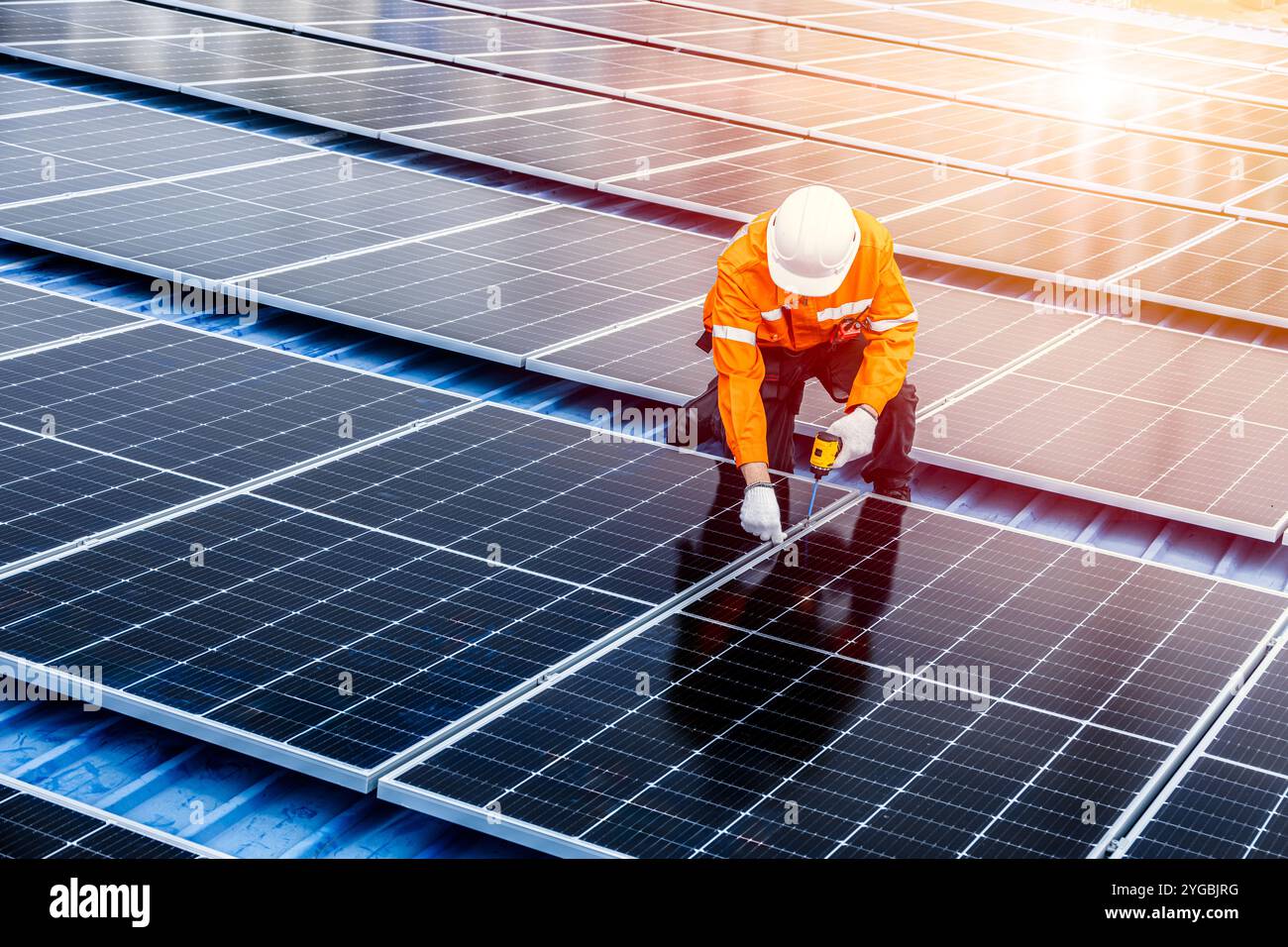 Professional sustainability hi-res stock photography and images - Alamy