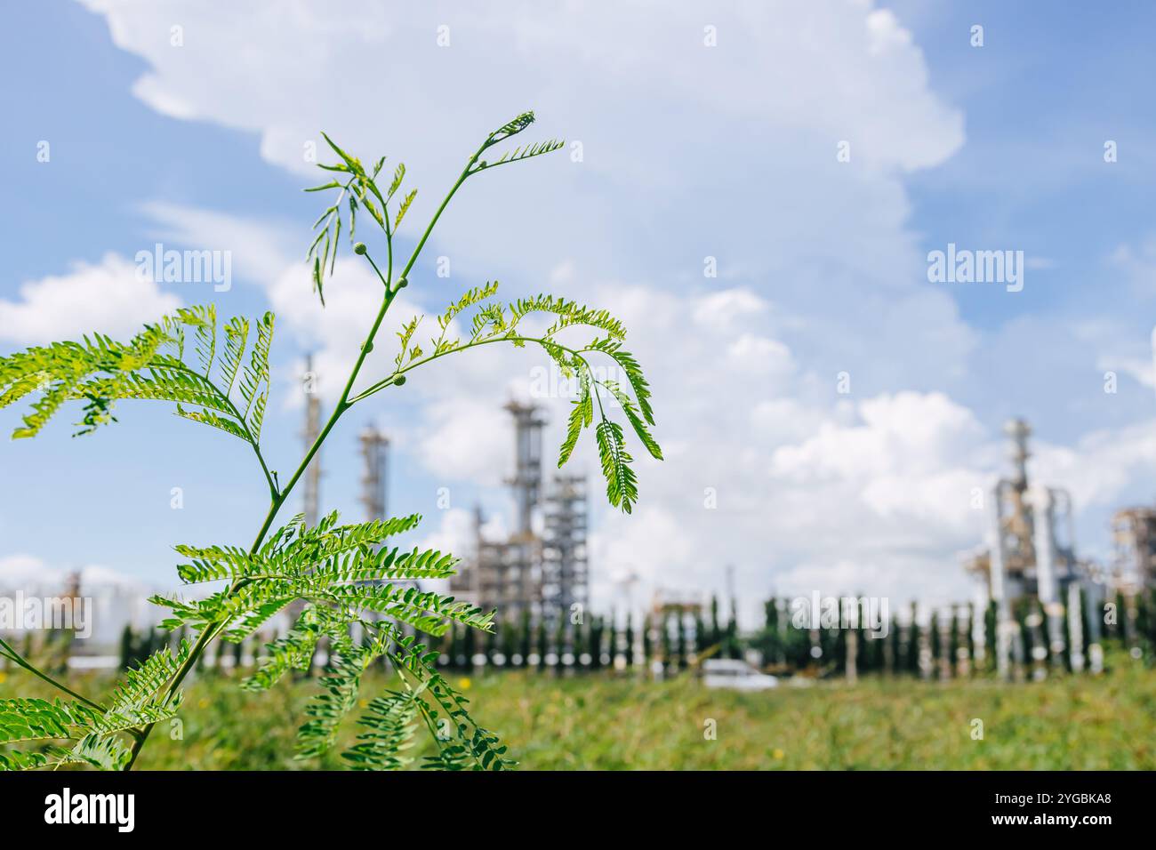 Green plant with Industrial, Oil and Gas Refinery plant with tree. Green industry eco production ...
