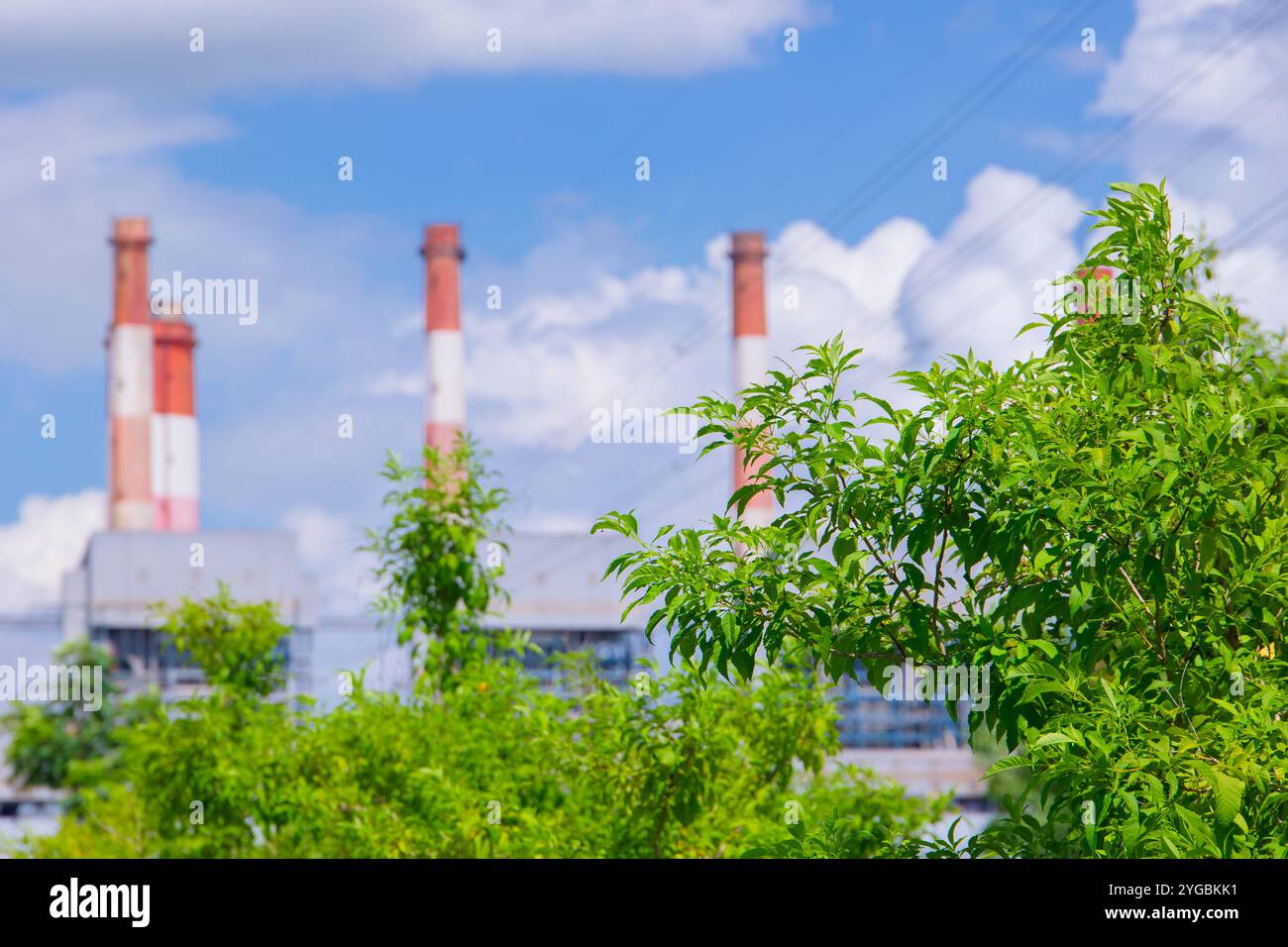 Green Eco Coal Power Plant. Green Electricity Industry for Nature ...