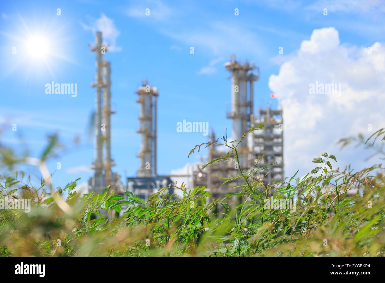 Green petrochemical Industrial, Oil and Gas Refinery plant with tree ...