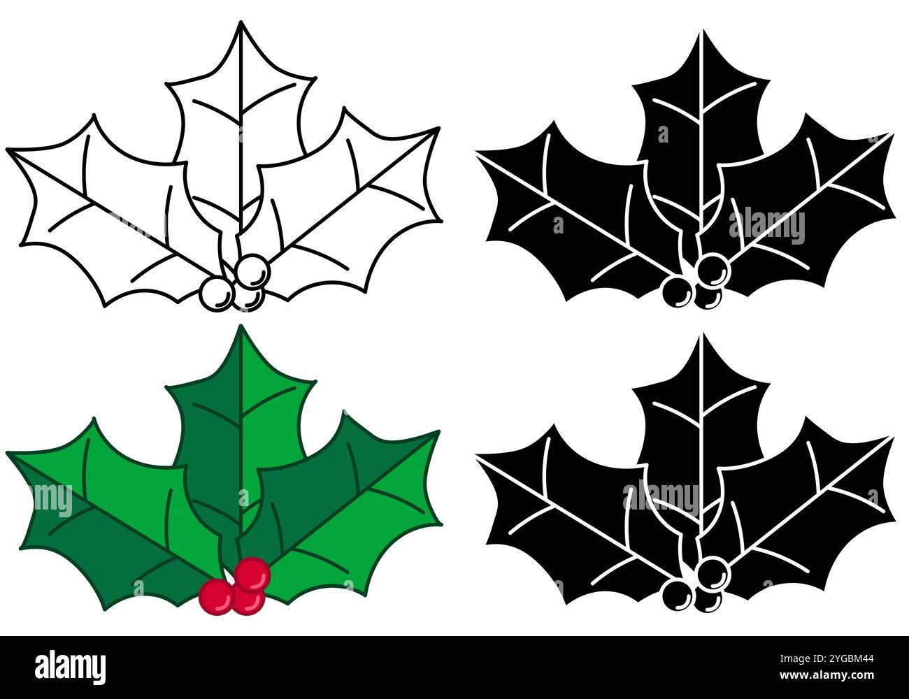 Set of festive Holly vectors in Black and white and colour versions ...