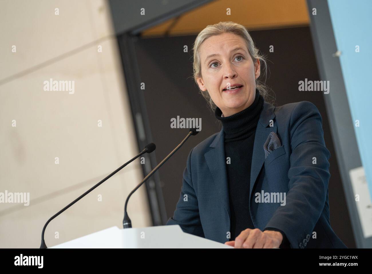 Statement im Deutschen Bundestag - Alice Weidel, Parteivorsitzende ...
