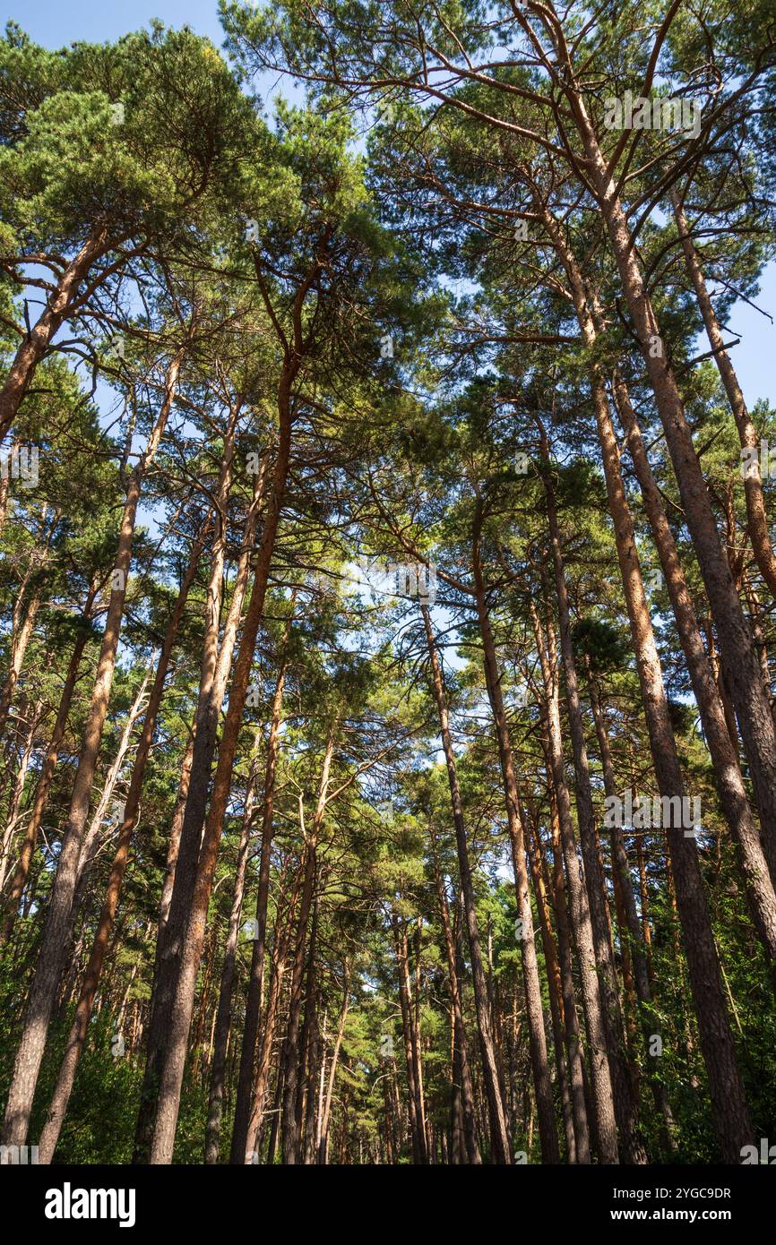 The Pyrenees mountain range, on the Spanish Border, During Summer Stock ...