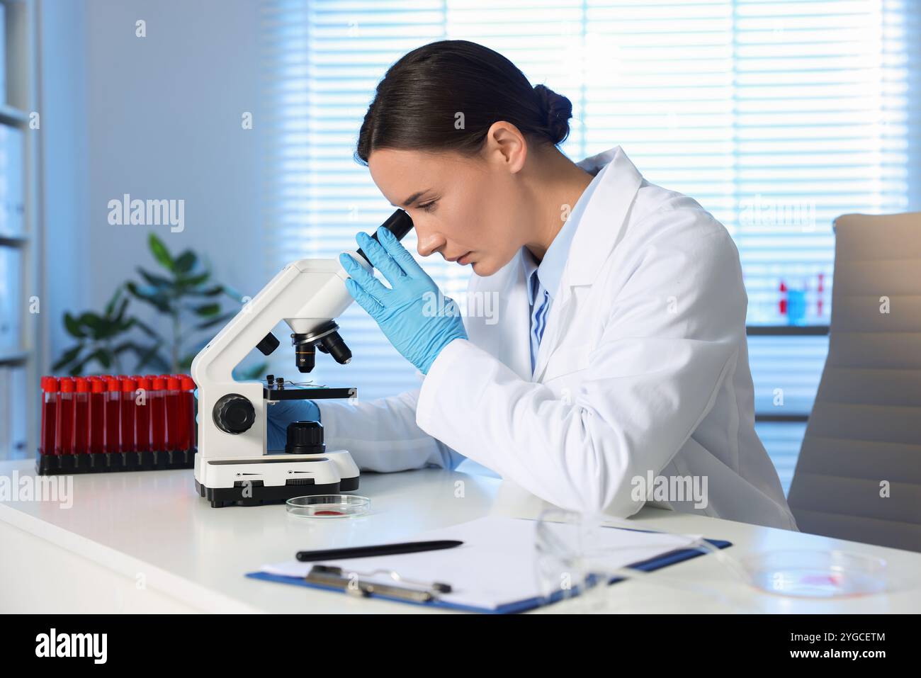 Laboratory testing. Doctor working with microscope at table indoors ...