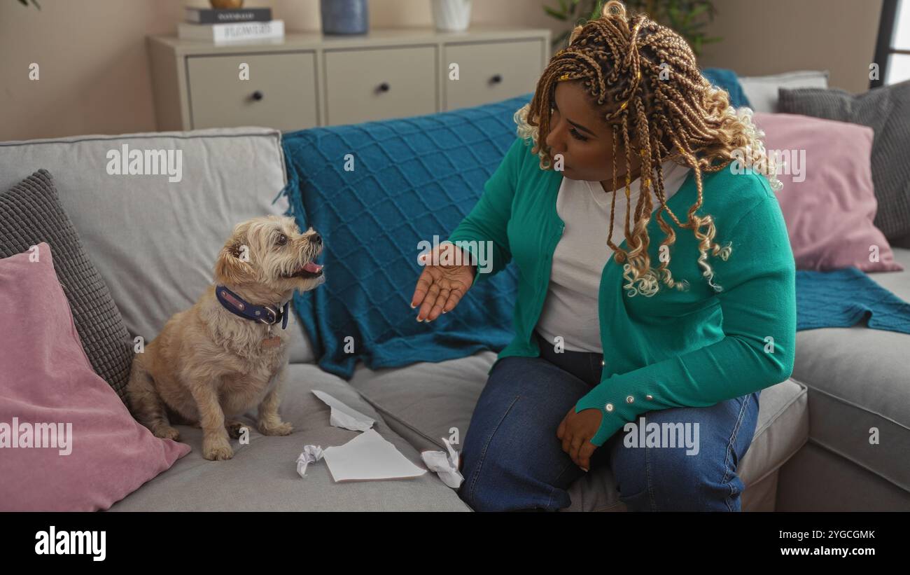 An african american woman with braids scolds her dog for tearing paper ...