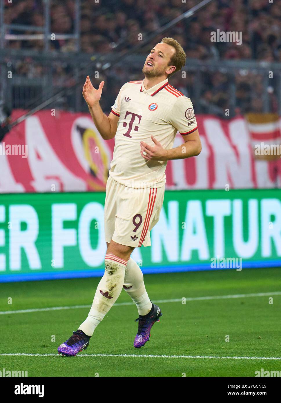 Harry Kane, FCB 9 angry in the group league match FC BAYERN MUENCHEN ...