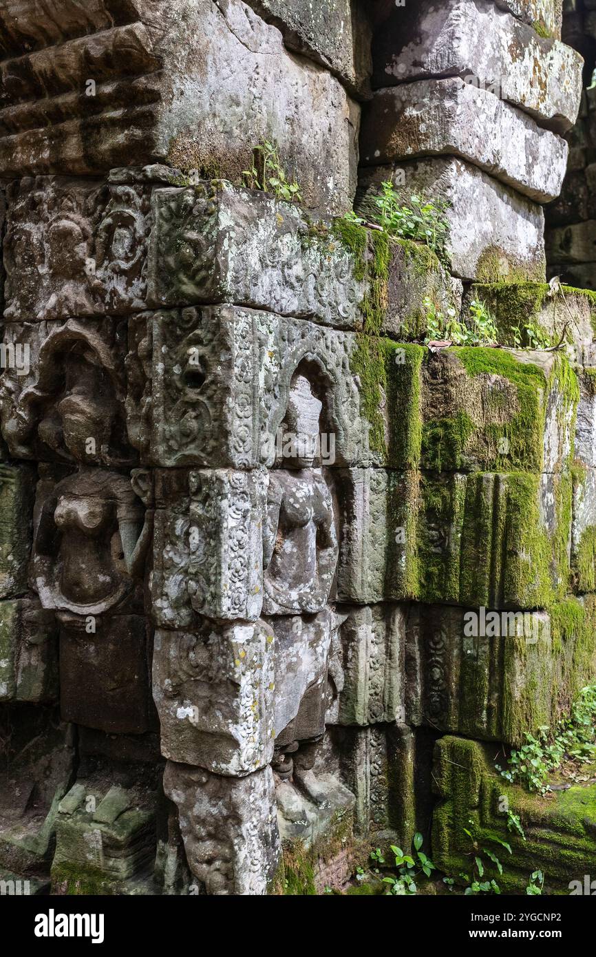 Tap Prohm Temple ruins at Siem Reap, famous fore the Lara Croft tree ...