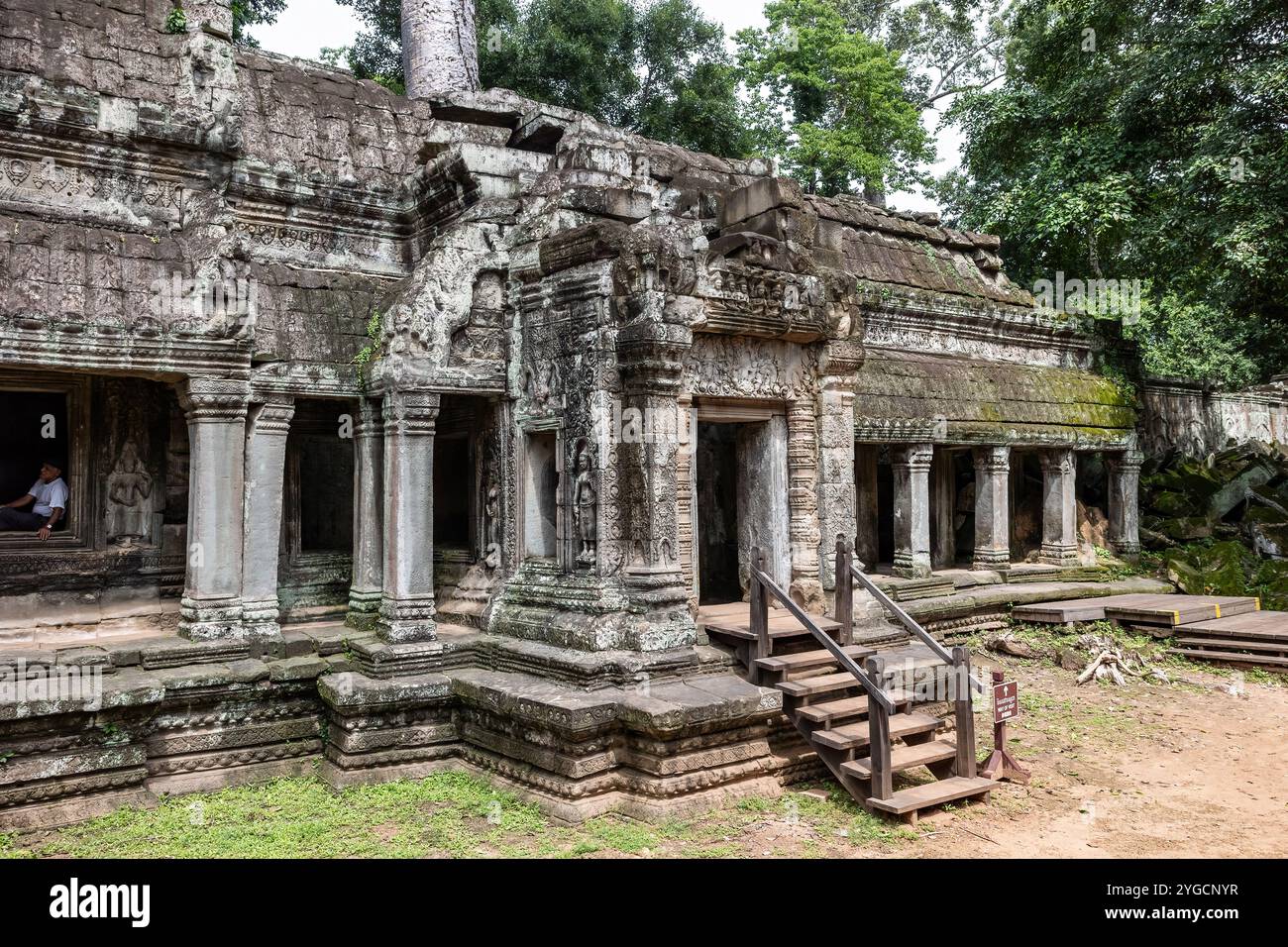 Tap Prohm Temple ruins at Siem Reap, famous fore the Lara Croft tree ...